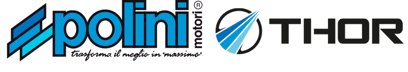 Polini Thor 303 – High-Performance Ultralight Engine